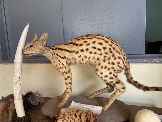 Discover Nature at Shai Hills - Wild Tours Ghana